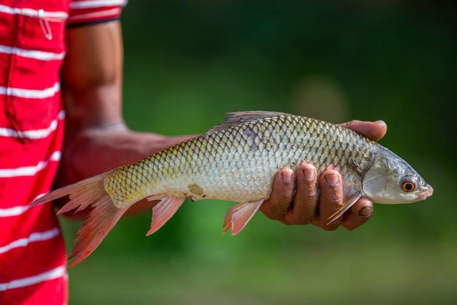 Expert Fishing Guide | Greg Bohn