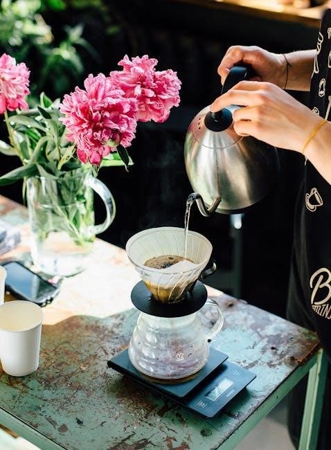 Ohaus Scales Manual | Download PDF Guides & Instructions